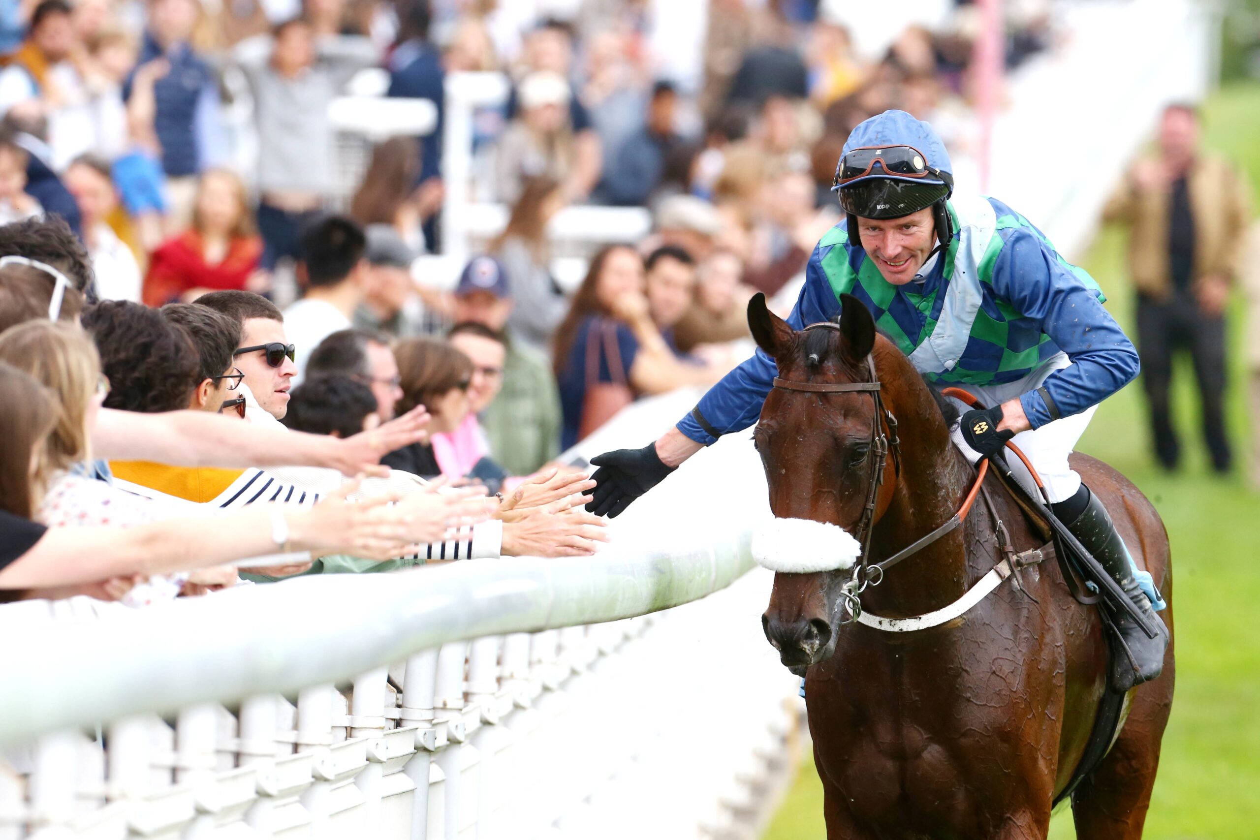 Grand Steeple-Chase de Paris | France Galop Live