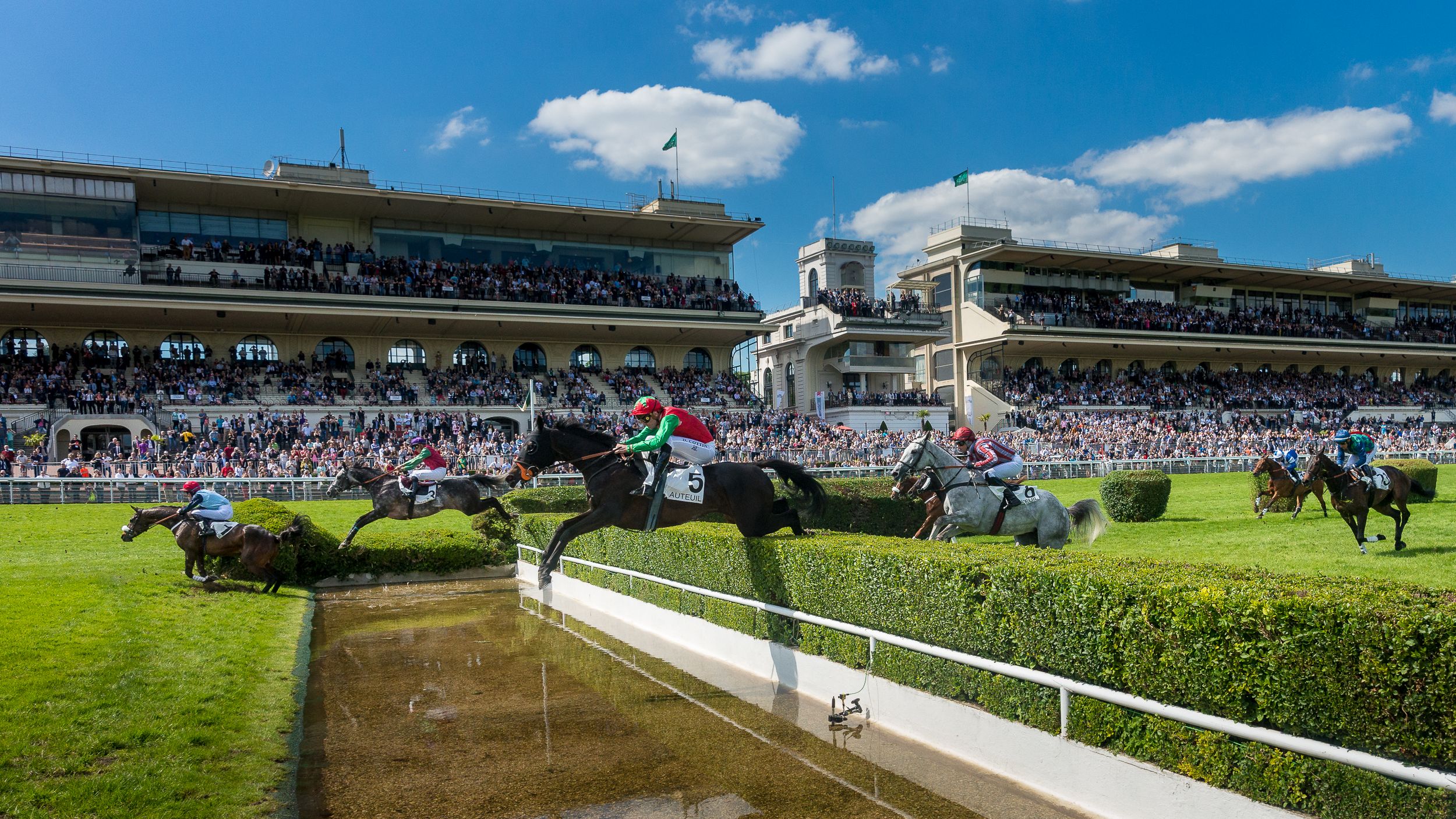 Auteuil Racecourse | France Galop Live