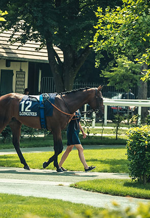 Chantilly Racecourse | France Galop Live