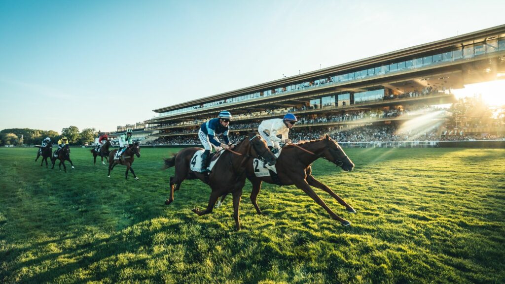 France Galop Live | Horse racing and events